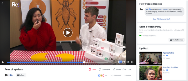 Arachnophobia is one of the most common phobias in the world so Lucy w ...