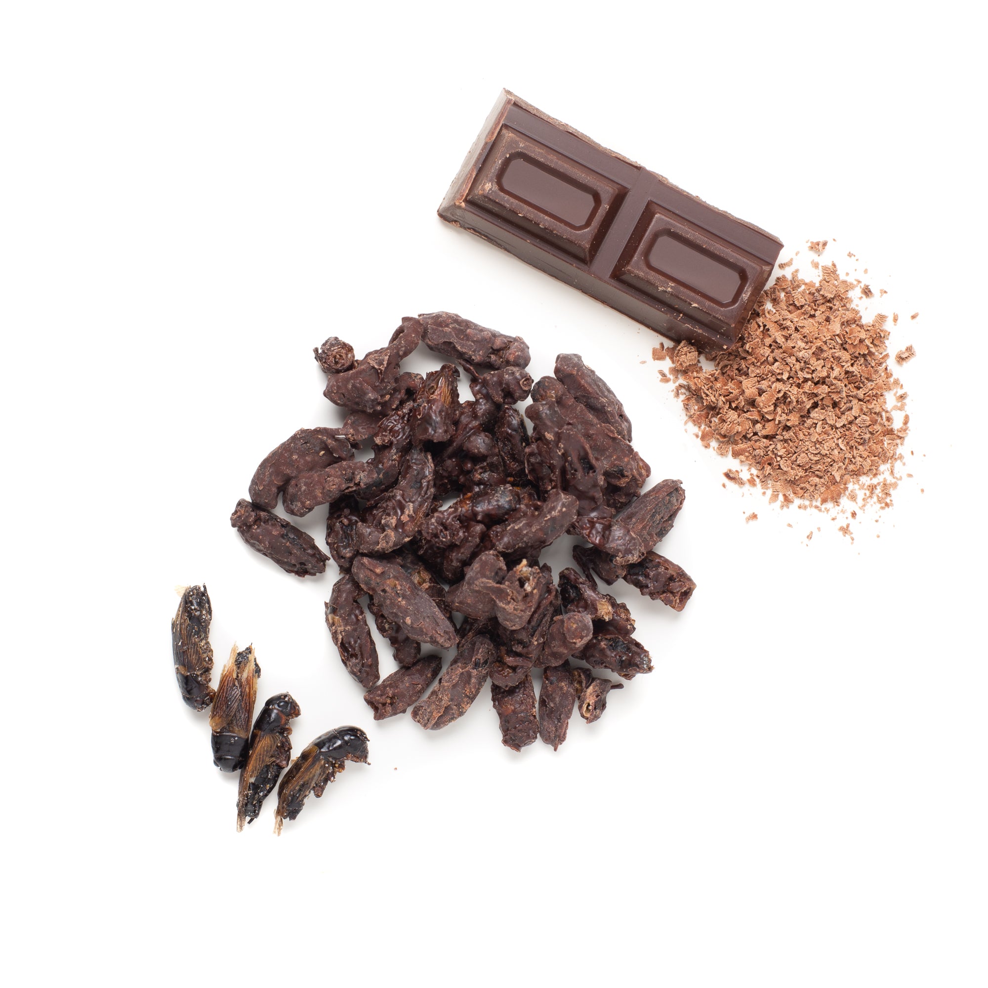 Buy Dark Chocolate Crickets NZ | Edible Insect Treats | Eat Crawlers ...