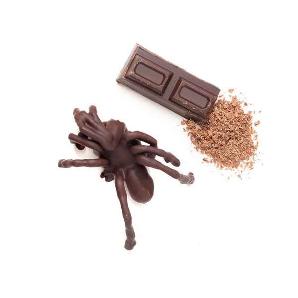 Chocolate Coated Insects – Eat Crawlers