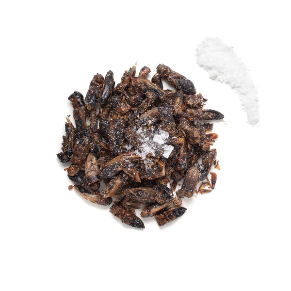 Buy Lightly Salted Big Crickets 20g NZ | Edible Insect Snacks | Eat ...