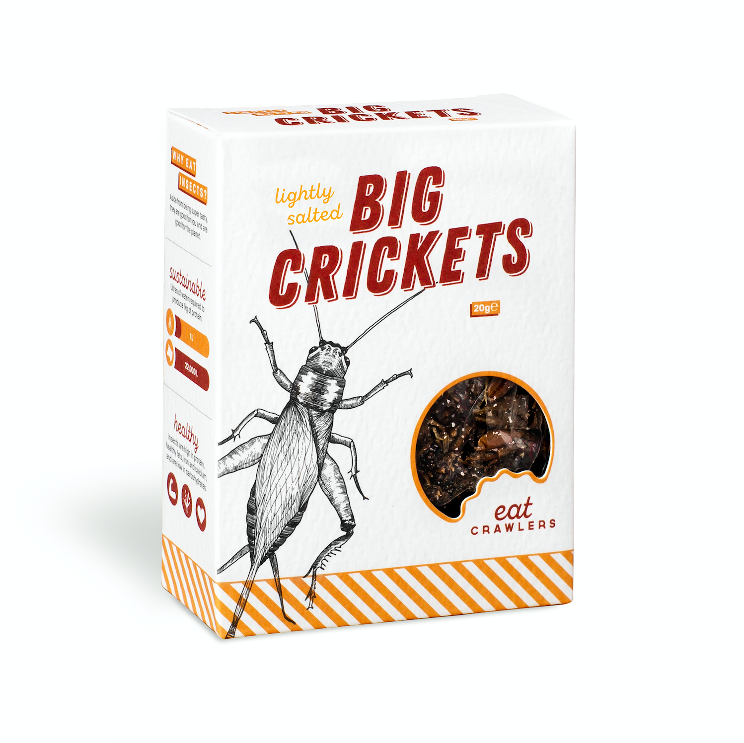 Buy Lightly Salted Big Crickets 20g NZ | Edible Insect Snacks | Eat ...