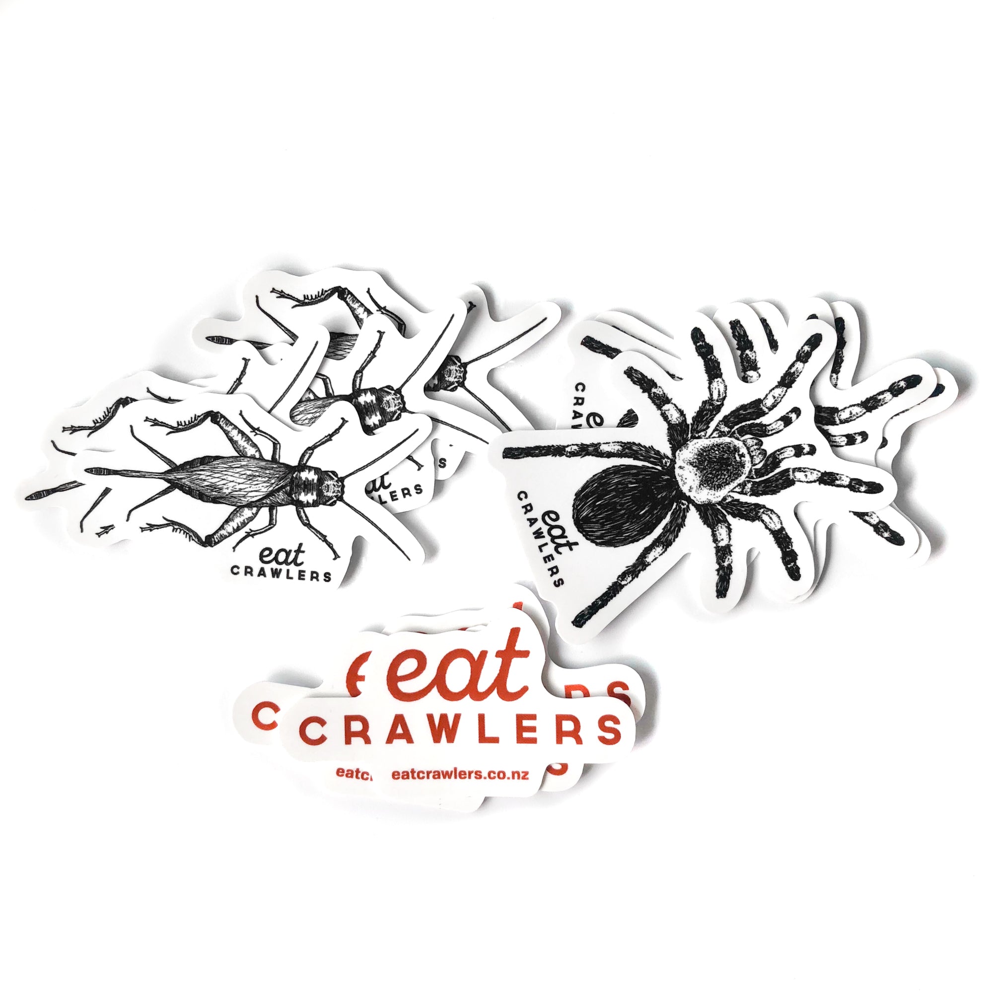 Buy Collectable Insect Stickers NZ | Eat Crawlers Official Merch